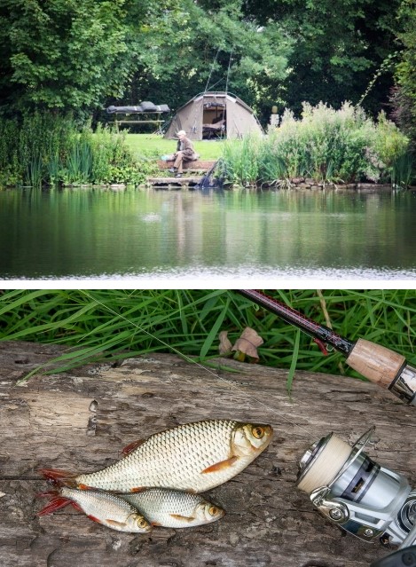 Coarse Fishing Breaks Wiltshire | Angling Holidays Devizes | Lakeside ...